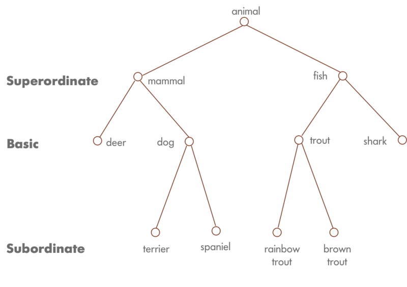 Categories and Concepts | Noba